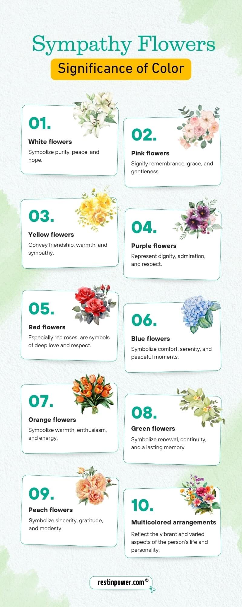 Sympathy Flowers Color: 10 Most Popular Meanings