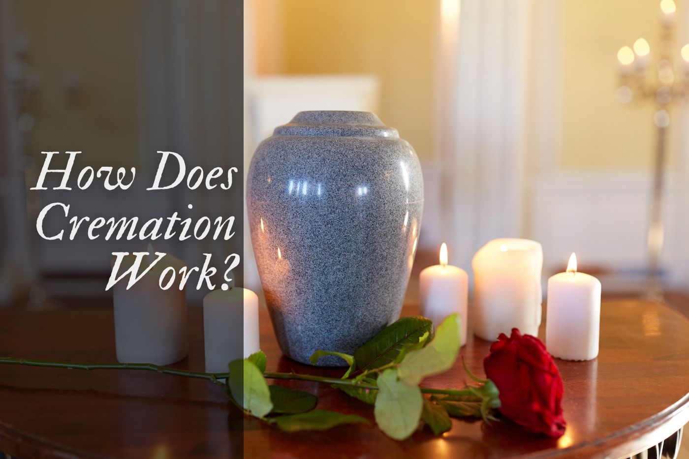 How Does Cremation Work? A Guide to the Process