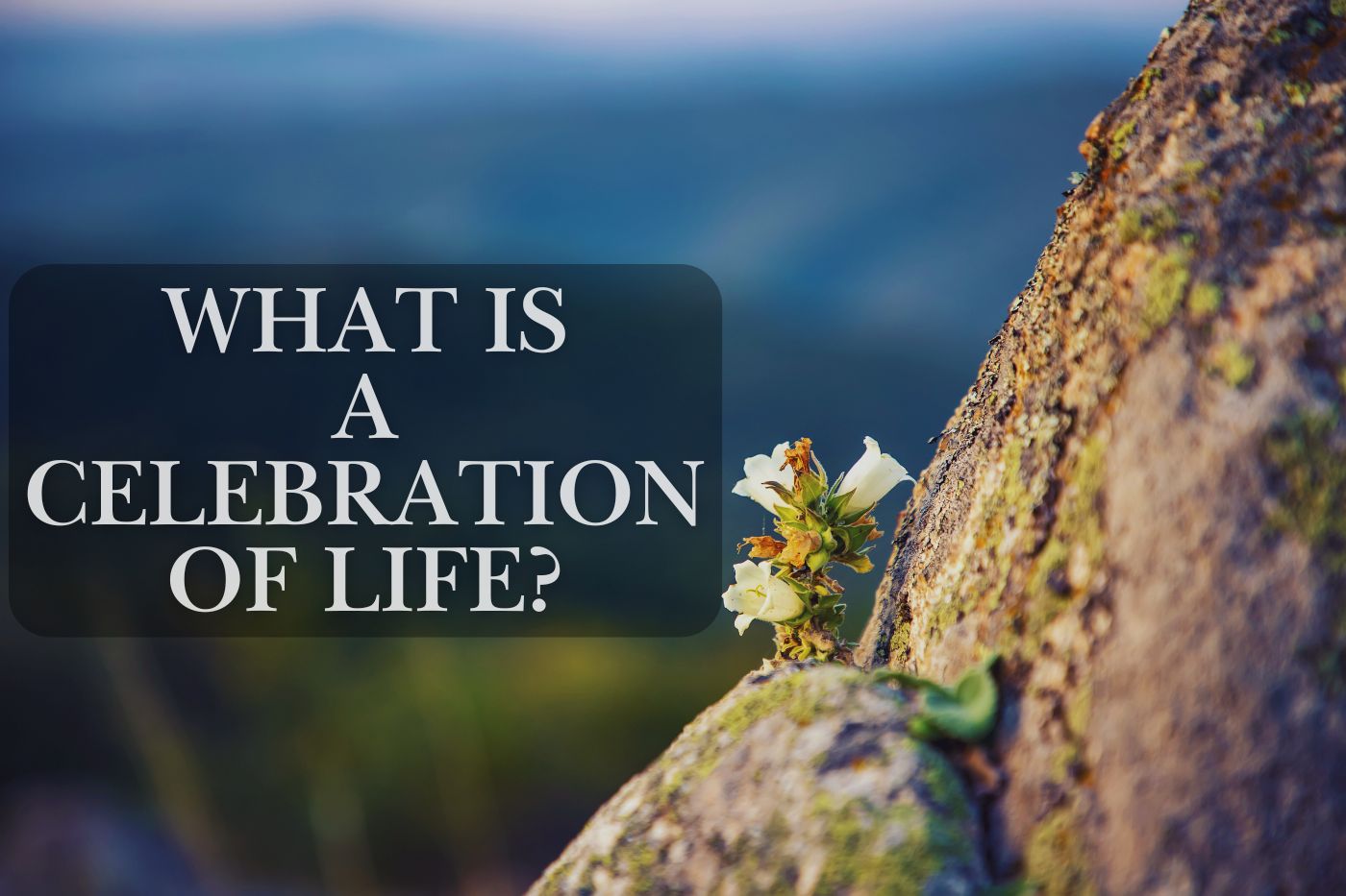 What Is a Celebration of Life? A Planning Guide